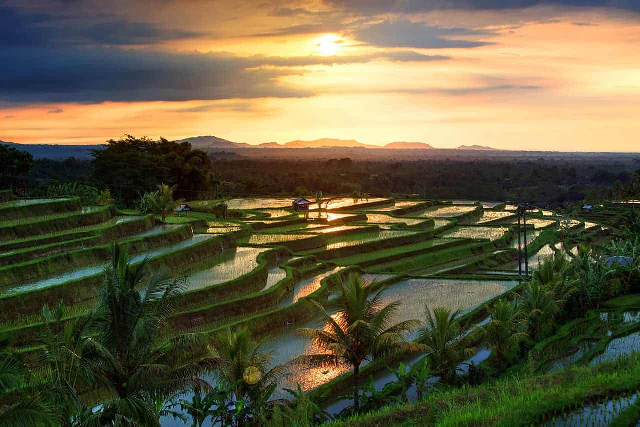 Bali Entry Requirements: Passport, Customs, Visa, and Tourist Tax Guide