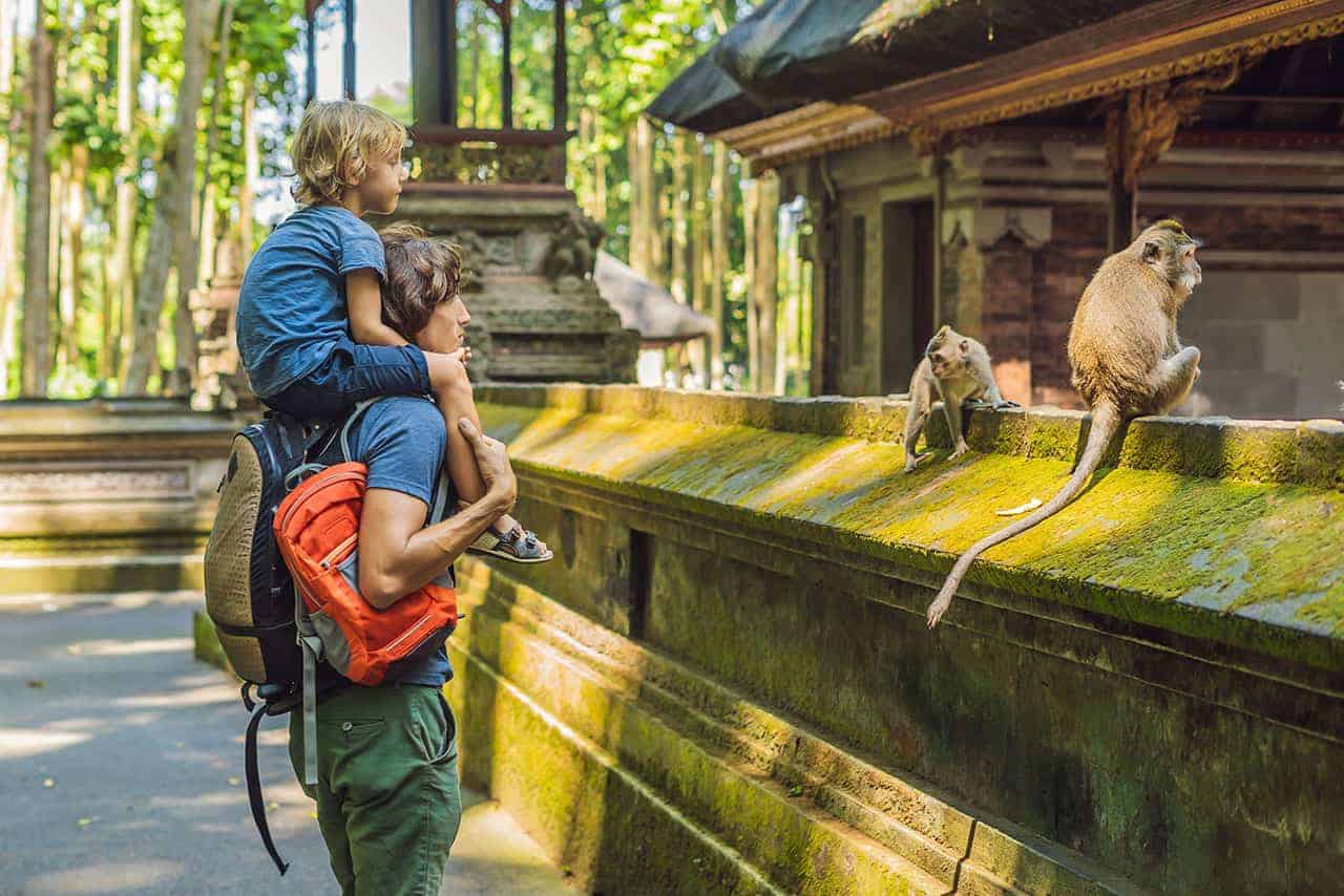 Explore Ubud's Sacred Monkey Sanctuary